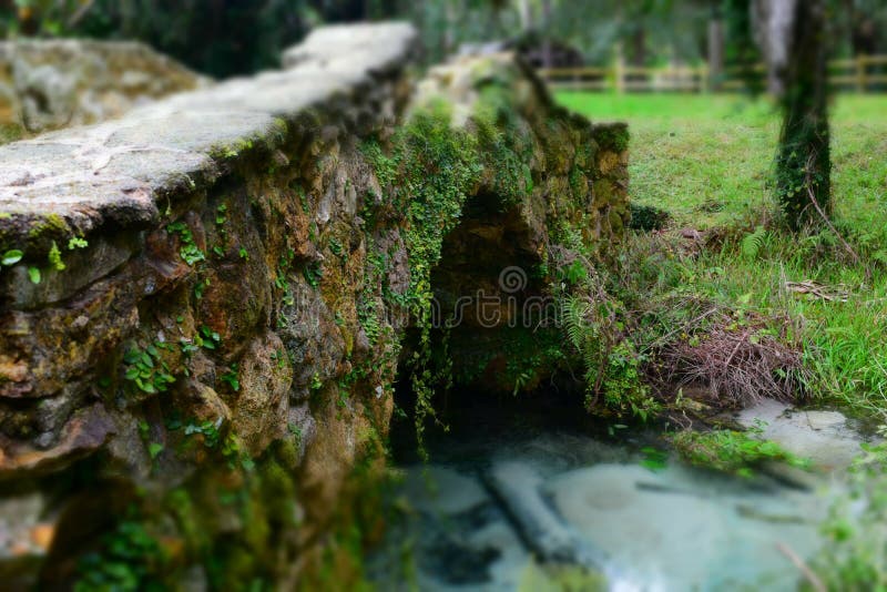 Shallow Focus of a Stone Bridge Covered in Moss Over a Lake Stock Photo ...