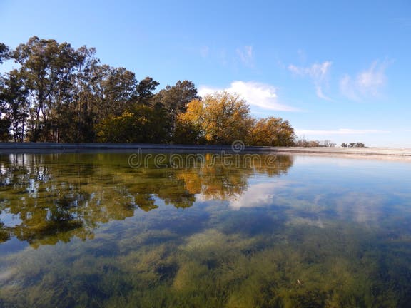 Shallow Lake with Moss and Reflection of Trees on it Stock Image ...