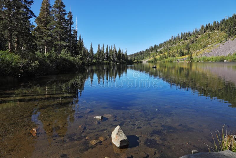 Shallow Mammoth Lake among Pine Forests Stock Image - Image of forest ...