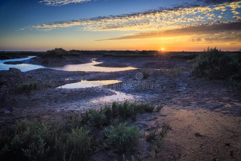 Shallow marsh at sunset stock image. Image of horizon - 202656761