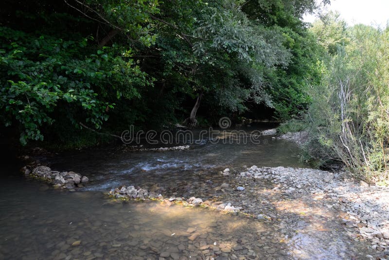 Shallow Mountain River, the Bottom of a Mountain River of Stones and ...