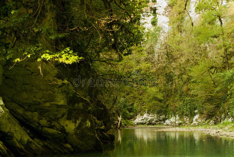 A Shallow Mountain River in a Deep Gorge, a View from the Bottom of the ...
