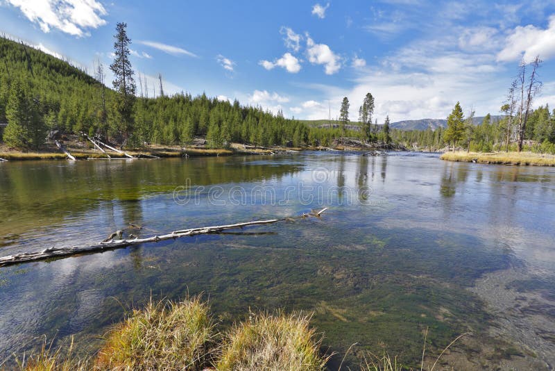 The shallow northern river stock image. Image of outdoors - 17113597