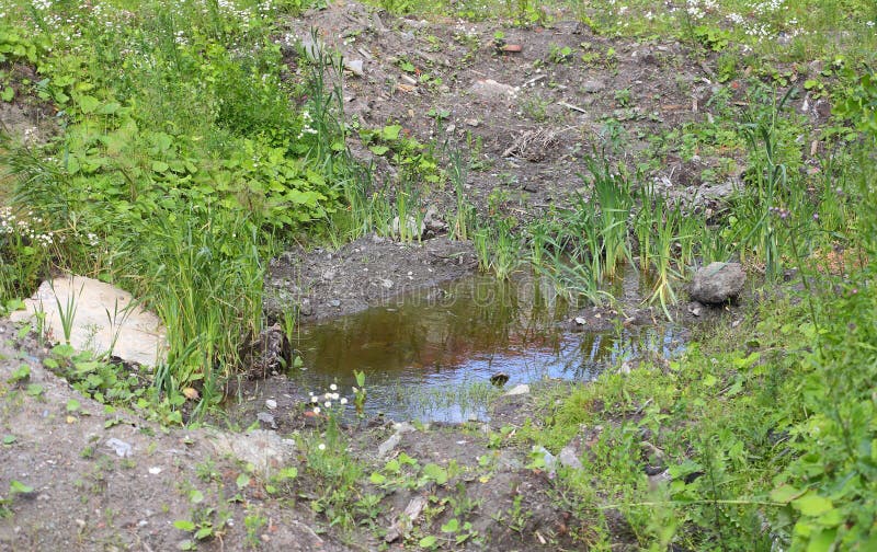 Pit Water Stock Images - Download 7,718 Royalty Free Photos