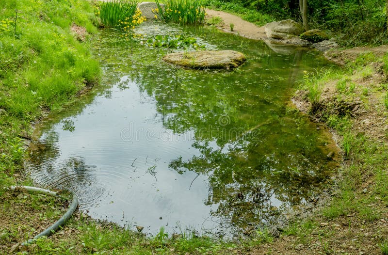 Shallow Pond in Remote Area Stock Photo - Image of pads, flat: 185101646