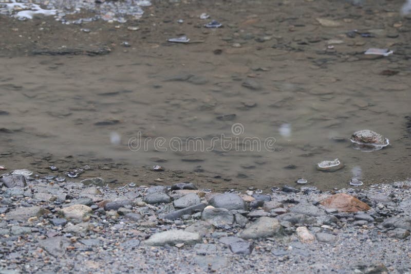 A Shallow Puddle on a Rocky Pathway Stock Image - Image of shallow ...