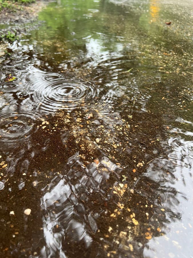 Rain Ripples on Water Surface in Puddle Stock Photo - Image of leaf ...