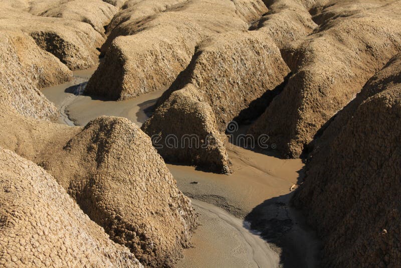 Shallow Ravine in the Forest Stock Image - Image of spruce, ravine ...
