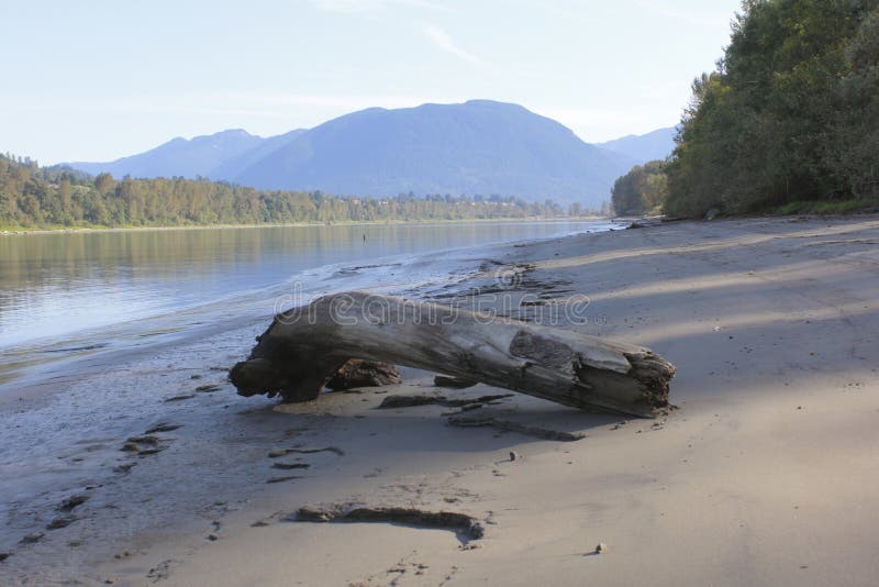 Shallow River stock image. Image of long, sandy, shallow - 26517957