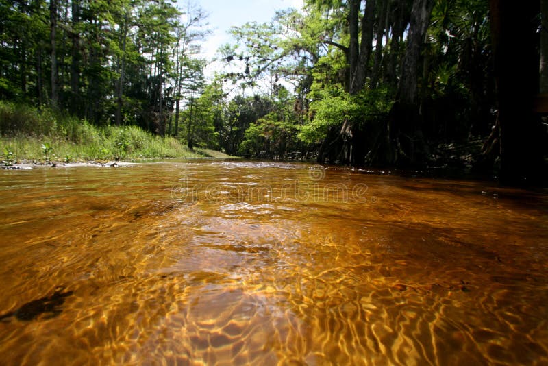 Shallow River stock photo. Image of running, park, flowing - 4743724