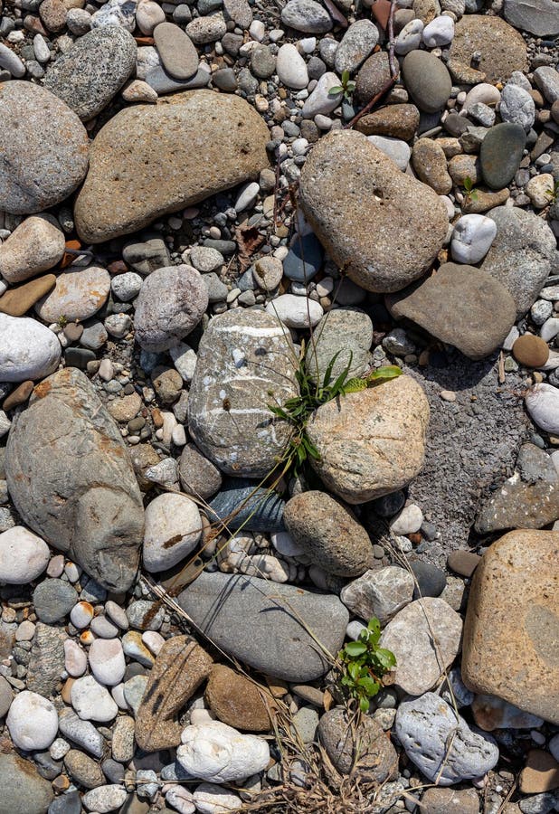 Shallow River Bottom Middle Summer Various Shapes Structures Stock ...