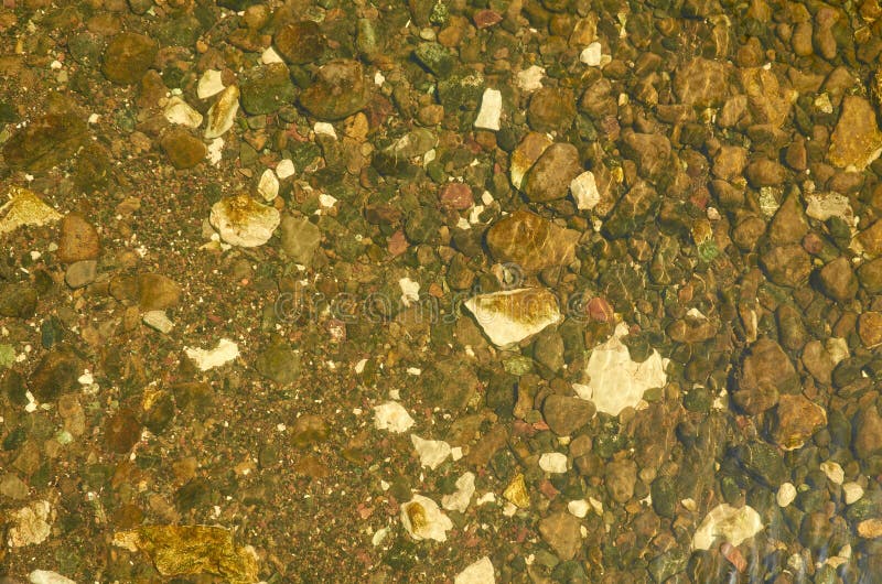 Shallow river bottom stock photo. Image of pure, rocky - 162424700