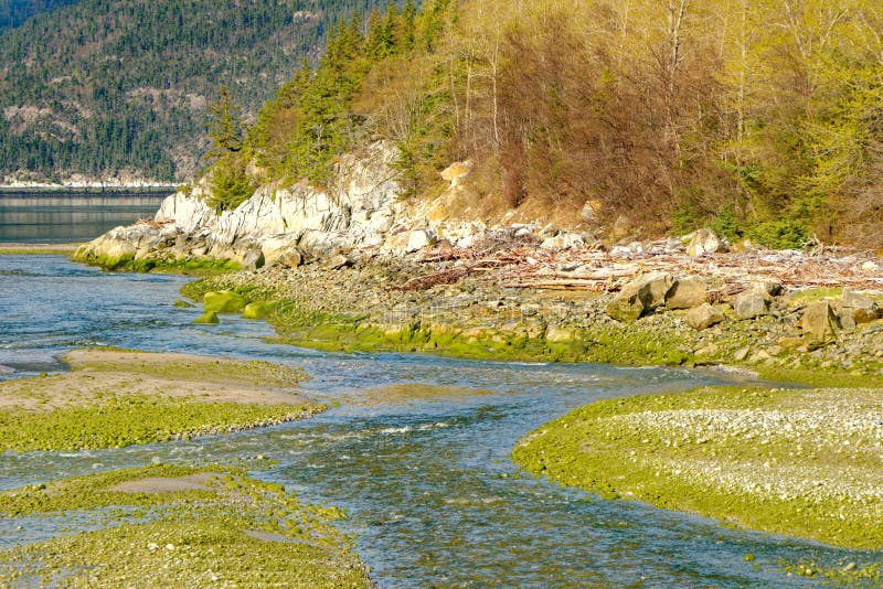 River into Chilkoot Inlet Skagway, Alaska Stock Image - Image of ...