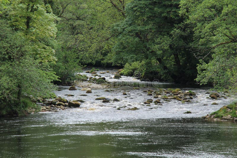 Shallow River. stock image. Image of landscape, country - 98368719