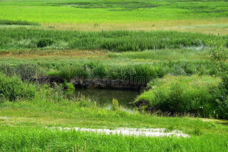 River in grass field stock image. Image of creek, agriculture - 13108039