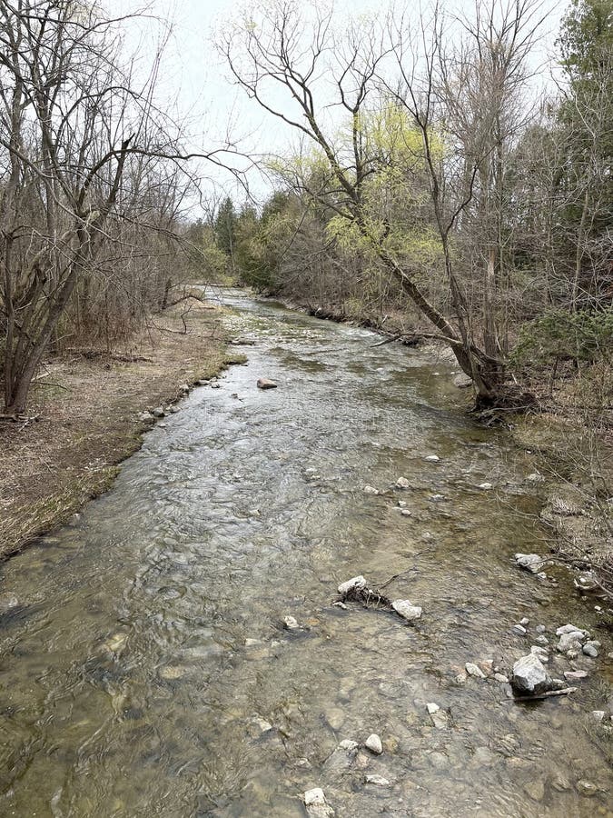 Shallow River with Rocks and Pebbles. Riverbed Nature Photos. Stock ...
