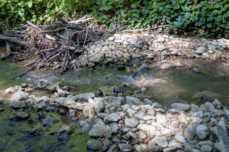 Shallow Riverbed with Exposed Rocky Bottom, Autumn Walks in Nature ...