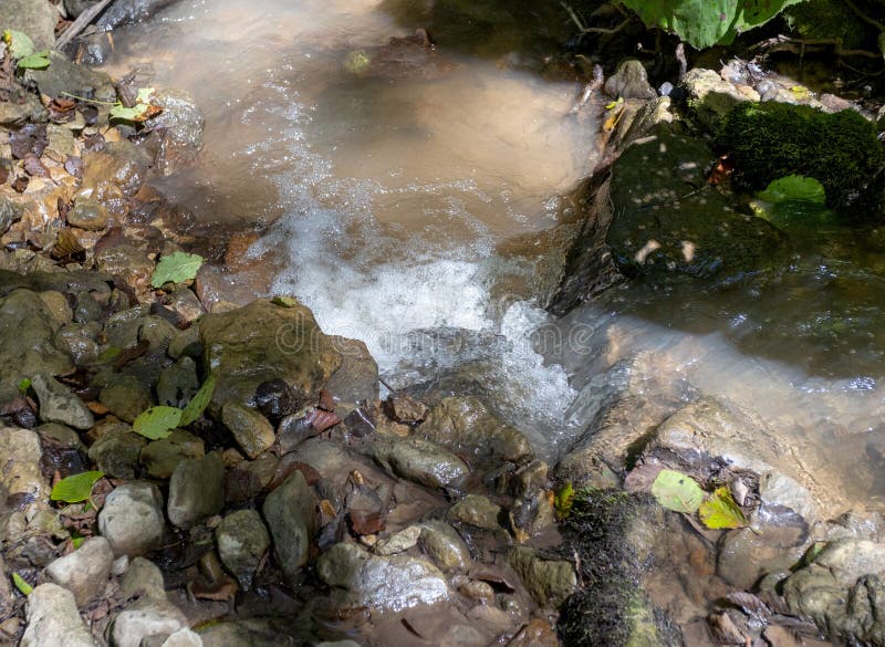 A Shallow Riverbed with a Rocky Bottom and Shoals a Stream of Water ...