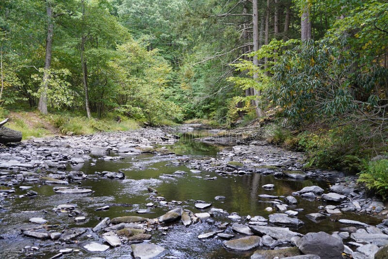 Shallow Rocky River in a Forest Stock Image - Image of nature, season ...