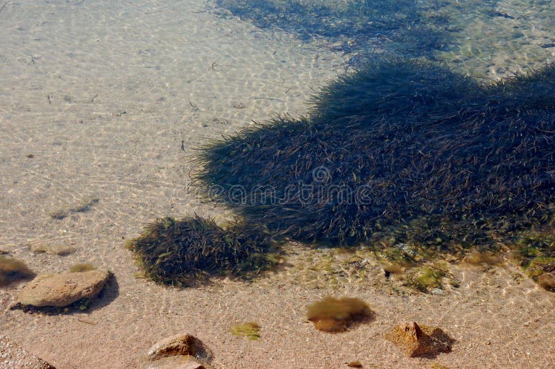 Shallow sea floor stock image. Image of sardinia, water - 115297229