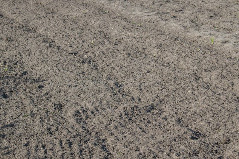 Shallow soil stock photo. Image of landscape, fertile - 85561202