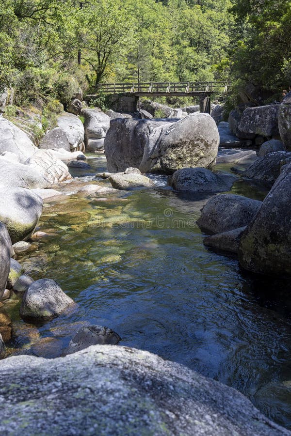 Shallow Stream Bed with Rocks and Algae Stock Image - Image of algae ...