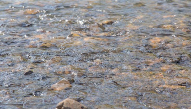 Clear Shallow River Water Flowing Over Pebbles Stock Image - Image of ...