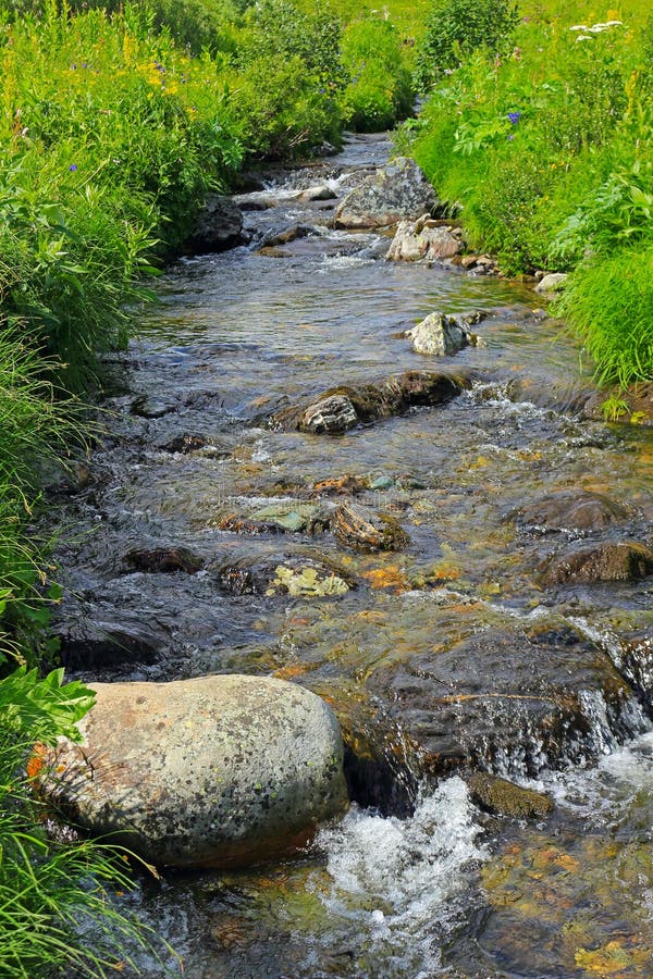 Shallow stream among grass stock photo. Image of channel - 187913008