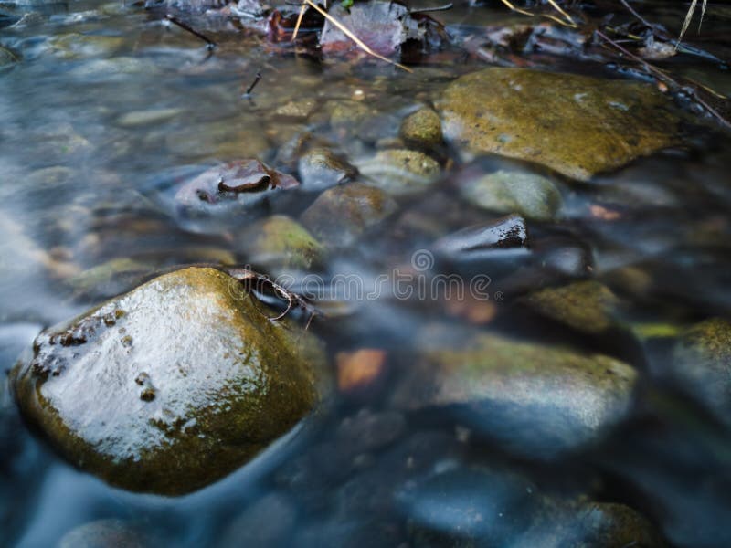 A Shallow Stream in the Woods, Softly Murmuring between the Rocks Stock ...