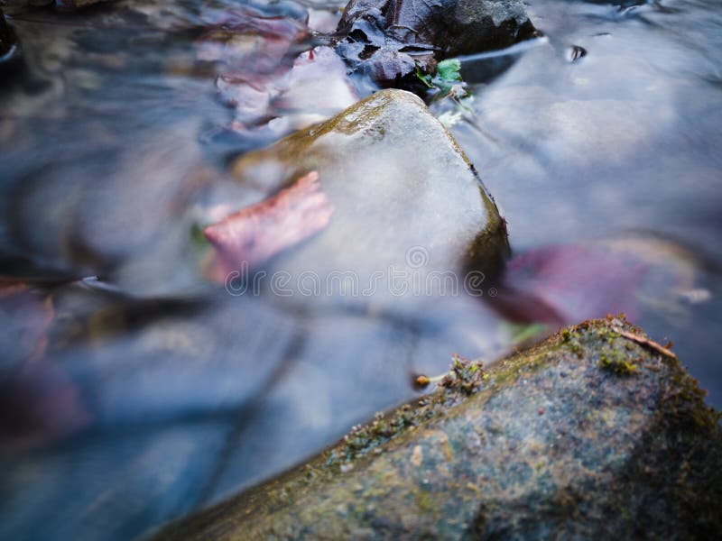 A Shallow Stream in the Woods, Softly Murmuring between the Rocks Stock ...