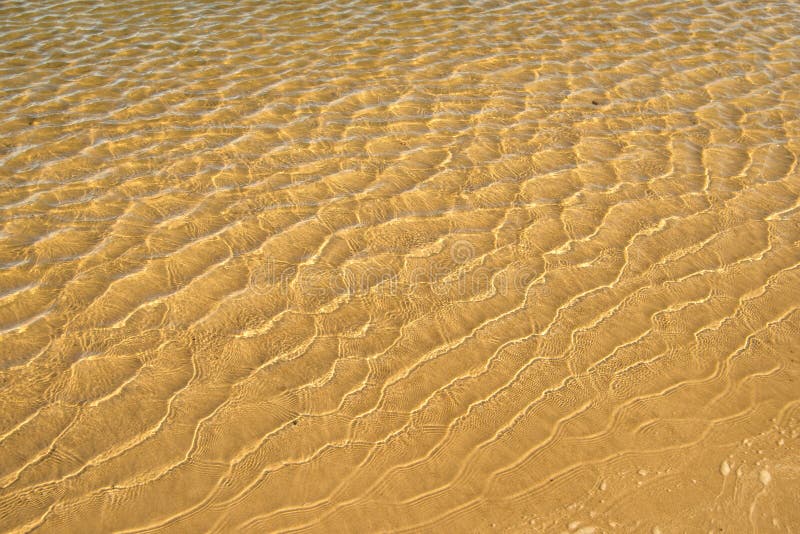 Shallow Surf with Sand of a Beach Stock Photo - Image of shallow, surf ...