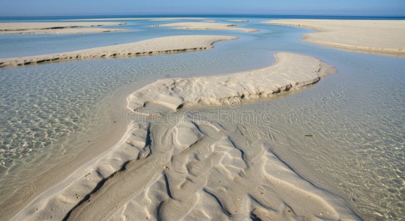 Shallow Water Beach Sand Texture at Daytime Stock Illustration ...