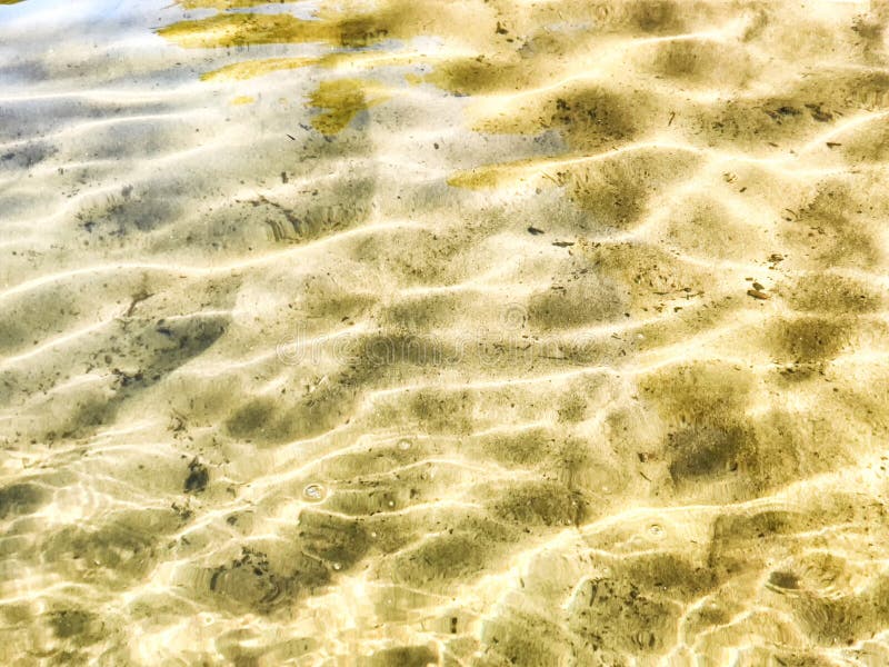 Shallow Water Ripples Over a Sandy Bottom with Sunlight Reflecting Off ...