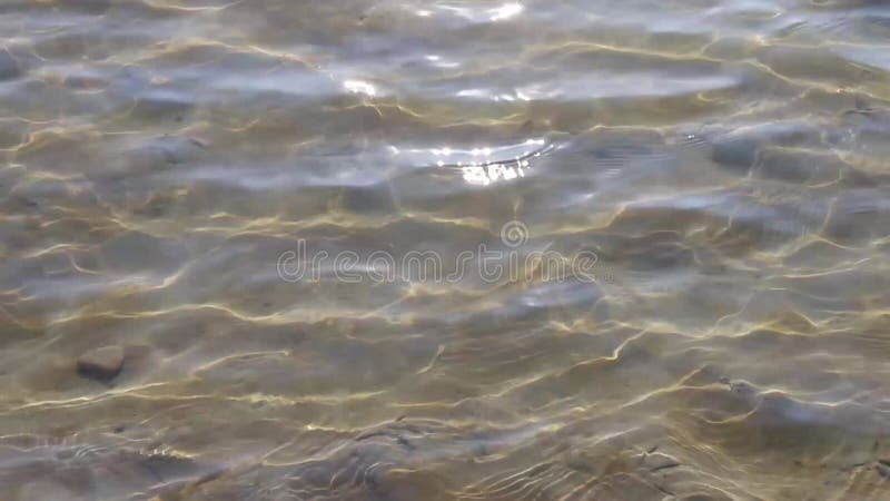 Shallow Water of a River with Sand Stock Video - Video of circle ...