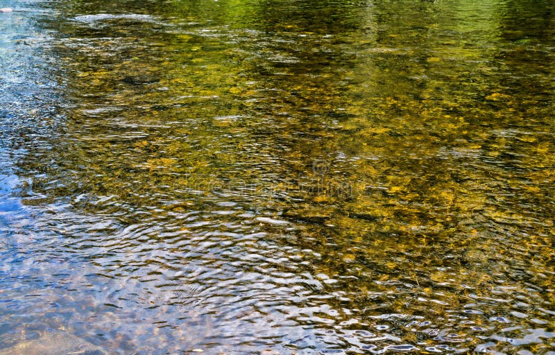 Shallow Water with Rocks and Reflection in a River Late Spring Stock ...