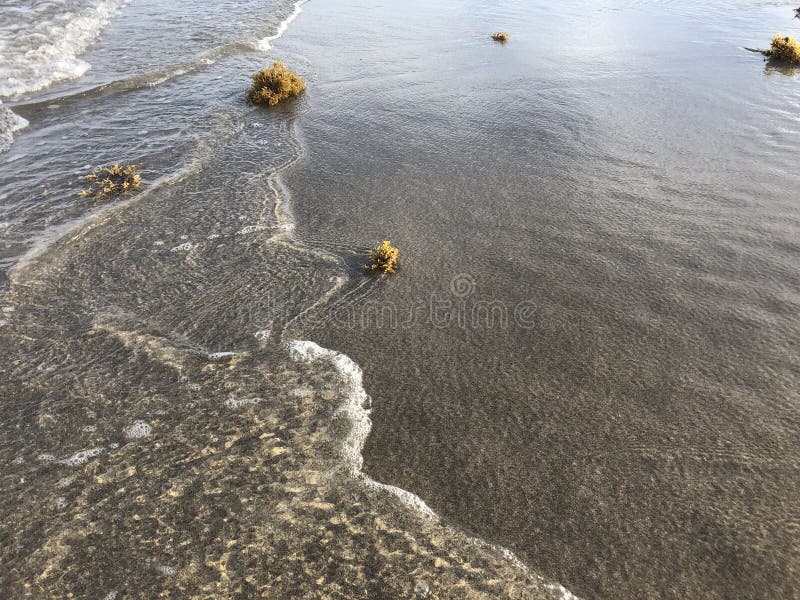 Shallow Water on the Shore of the Beach Stock Photo - Image of hand ...
