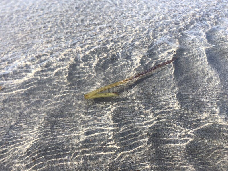 Shallow Water on the Shore of the Beach Stock Photo - Image of pool ...