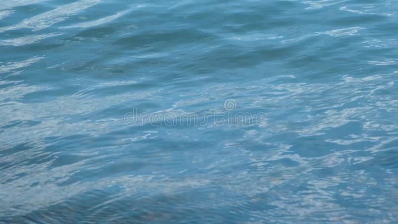 Shallow Water Surface Texture Loop , Sun Shine Natural Clear Blue Water ...