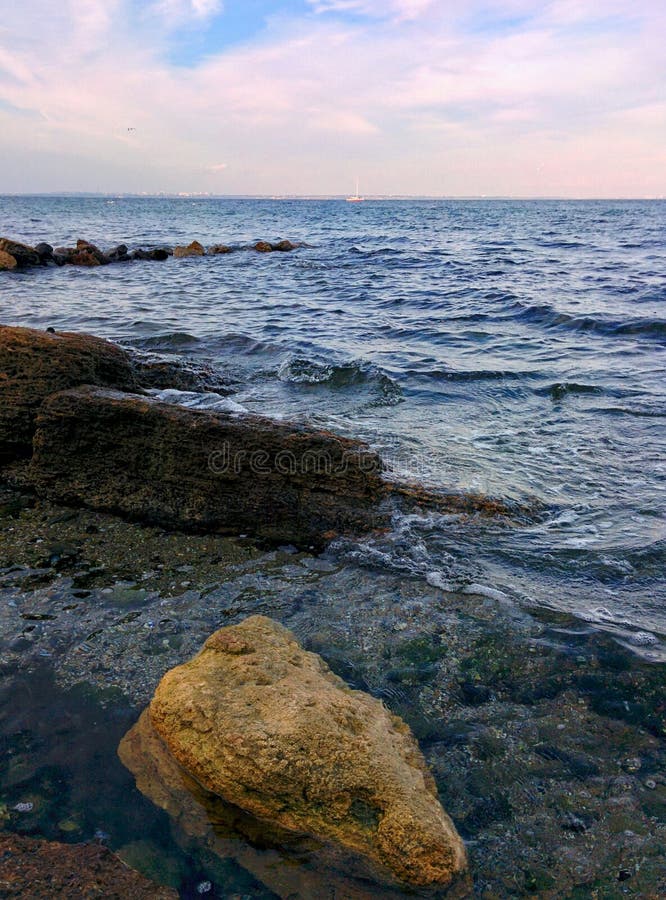 Seascape with Shallows and Waves Stock Image - Image of rocky, waves ...