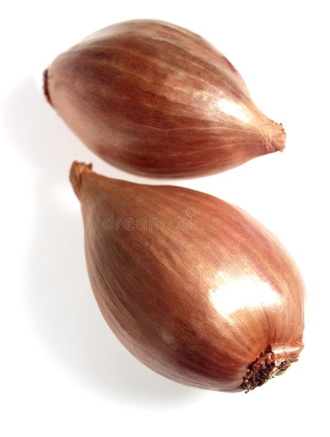 ECHALOTE stock photo. Image of echalote, botany, condiment - 169897518