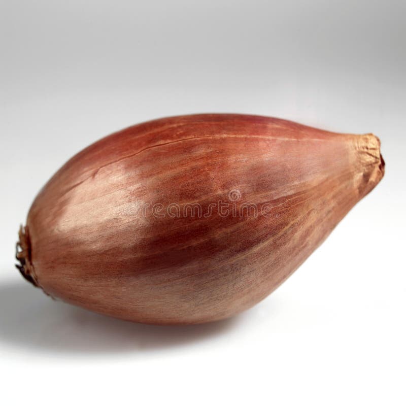 Shalott, Allium Escalonicum Against White Background Stock Image ...