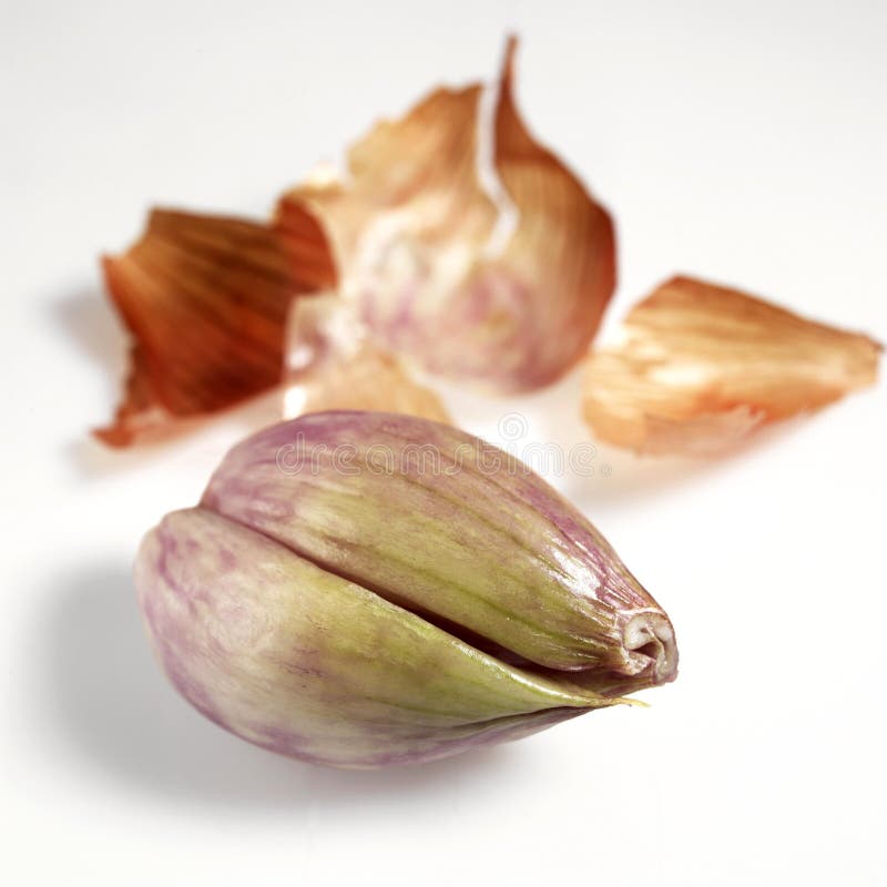 Shalott, Allium Escalonicum Against White Background Stock Photo ...