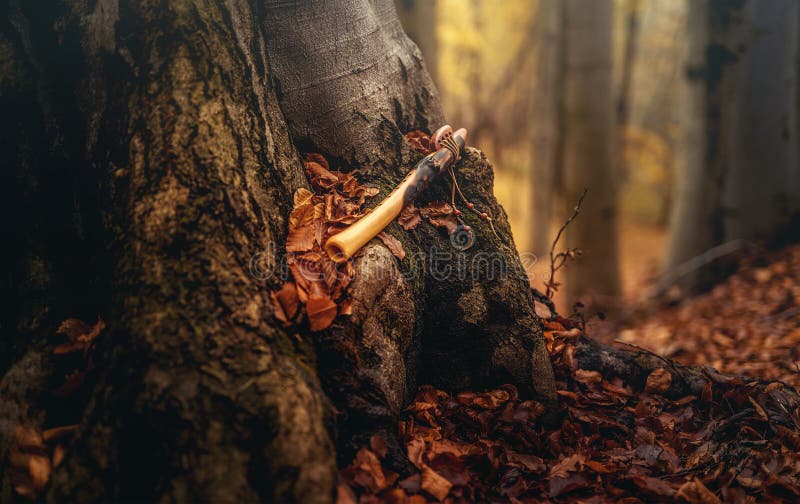 Shaman Flute in Forest on Moss Tree. Stock Photo - Image of mystic ...