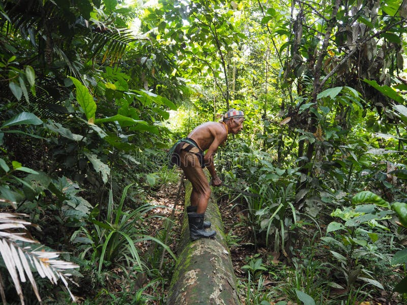 Shaman Looking for Medicines in the Jungle of Siberut Editorial ...