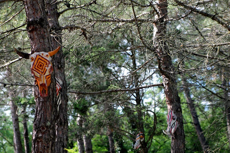 Shaman Mask in the Forest on a Tree. Stock Photo - Image of spruce ...