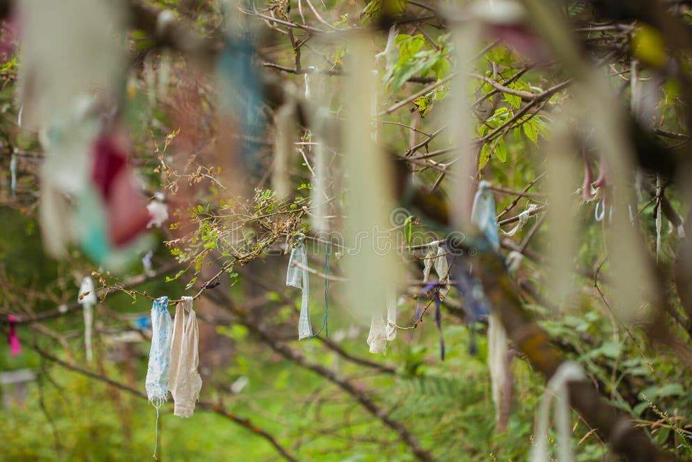Shamanic tree stock image. Image of national, russia - 86515391
