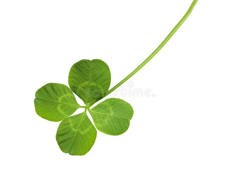 50,875 Shamrock Pfp Stock Photos - Free & Royalty-Free Stock Photos ...