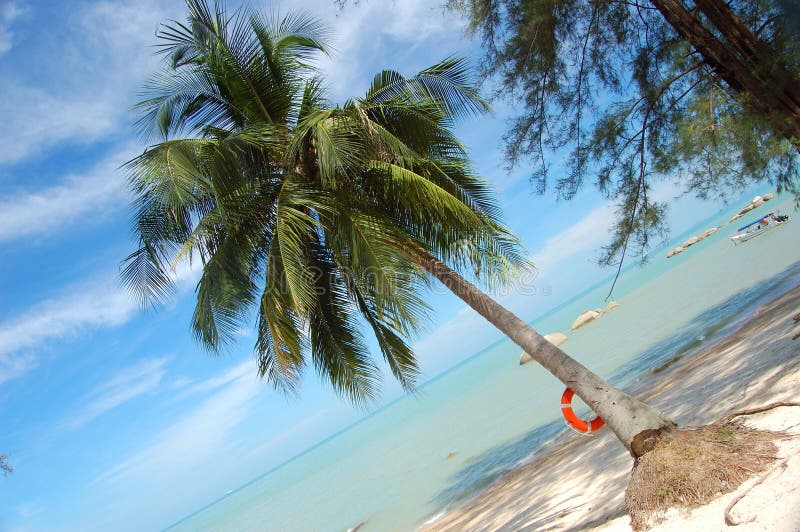 Shamrock Beach in Malaysia stock photo. Image of beautiful - 3949492