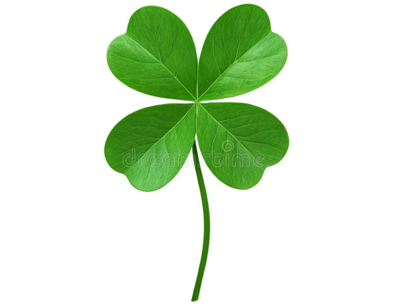 Shamrock Four Leaf Clover Isolated on White Background - Generated by ...