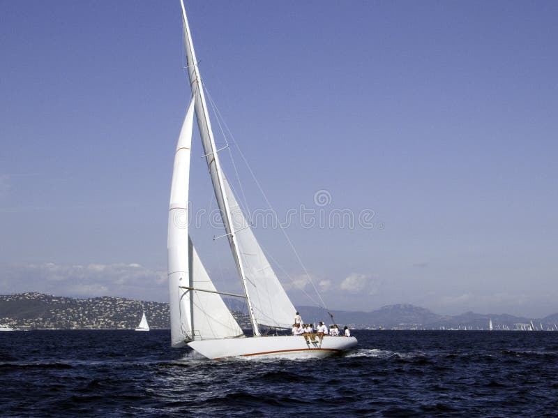 Shamrock V stock photo. Image of tropez, competition, rigging - 1366322